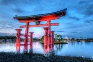 How to Understand the Language of Light and Impact Your Stories