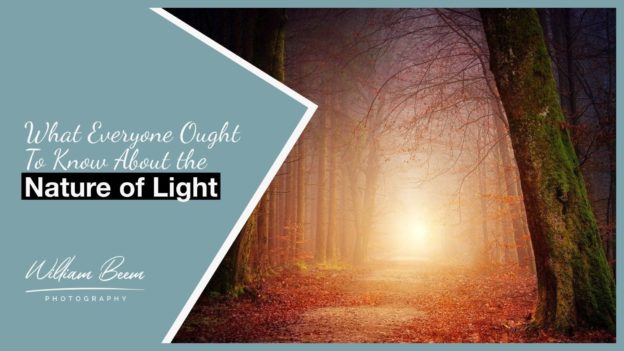 5 Elements in the Nature of Light You Need to Master
