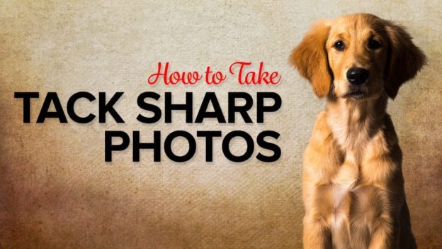 Tack Sharp Photos: How to Take Them with Your DSLR