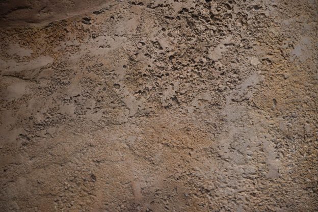 Improve Your Photos With 10 Elements of Composition