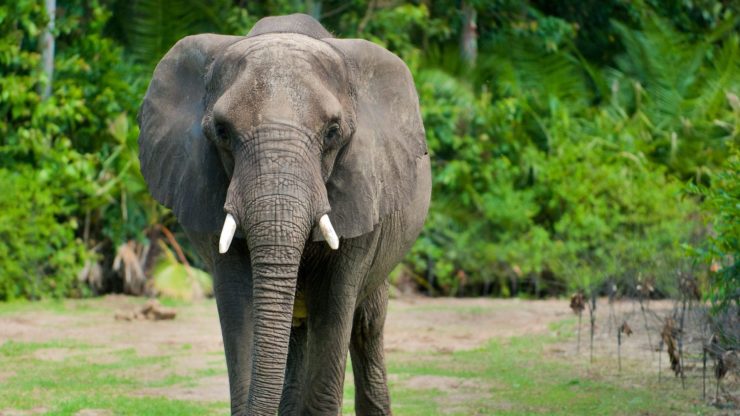 How to Make Your Subject Pop in Your Photographs