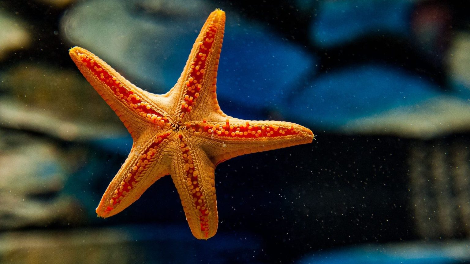 Space and Balance: 7 TRICKS to Create Awesome Photos