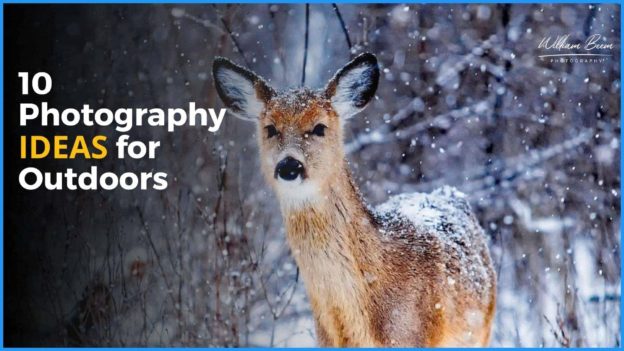 How Do I Use Rhythm and Proportion in Photography?